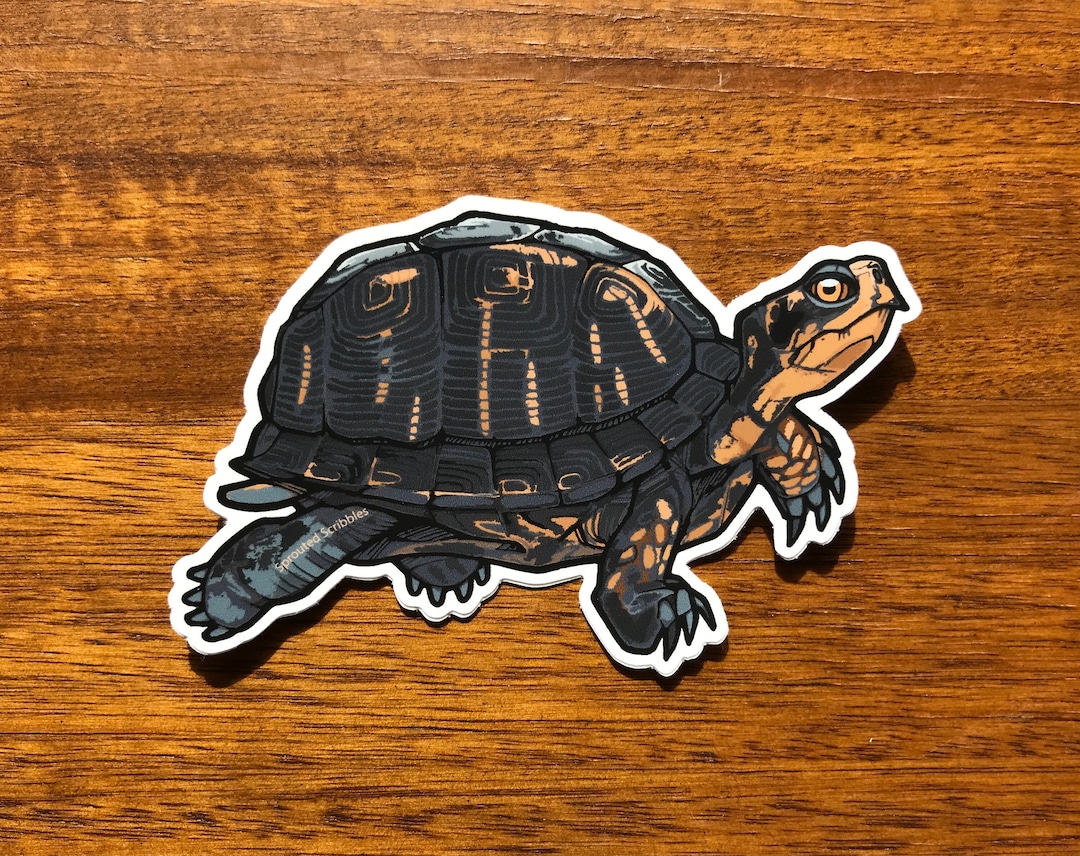 Turtle Sticker 4 Eastern Box Animal Waterproof Vinyl Decal Laptop Water ...