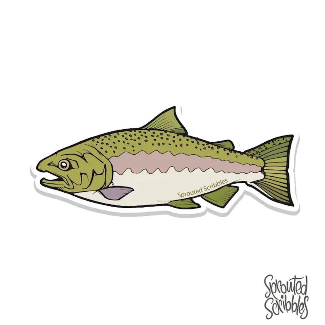 Fish Sticker - 4.5” Salmon Illustrated Vinyl Decal Tackle Box Sticker ...