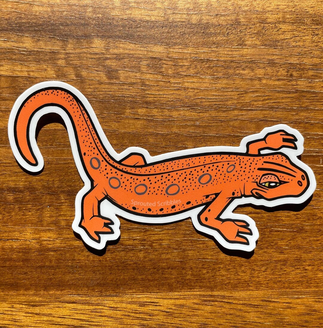 Cute Newt Sticker - 4.2" Red Spotted Eastern Eft Salamander Illustrated ...