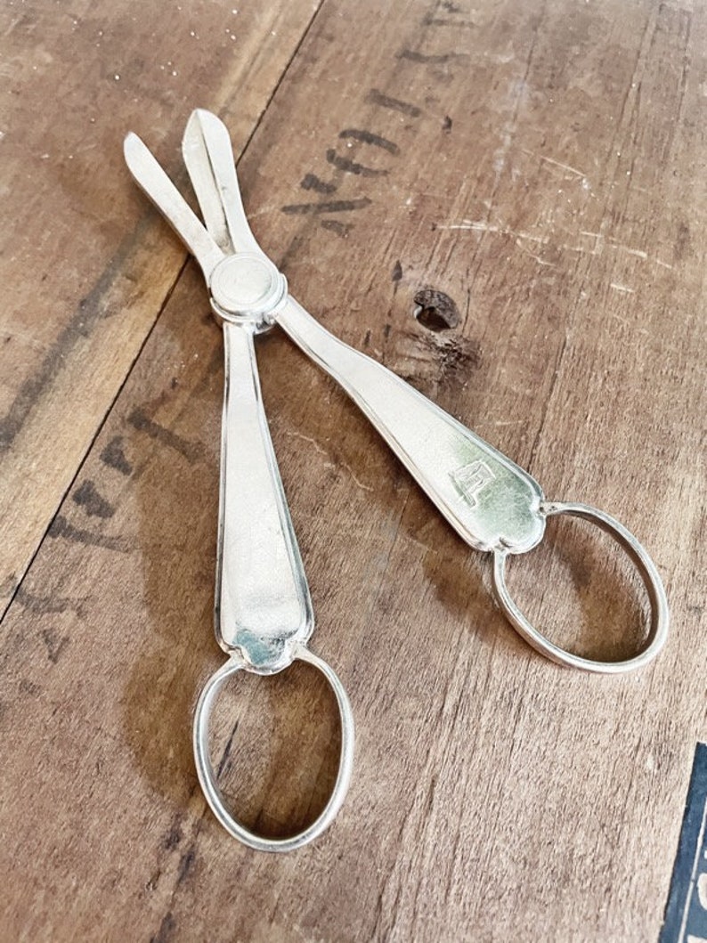 Antique Silver Plated Grape Shears From a Blue Funnel Line - Etsy