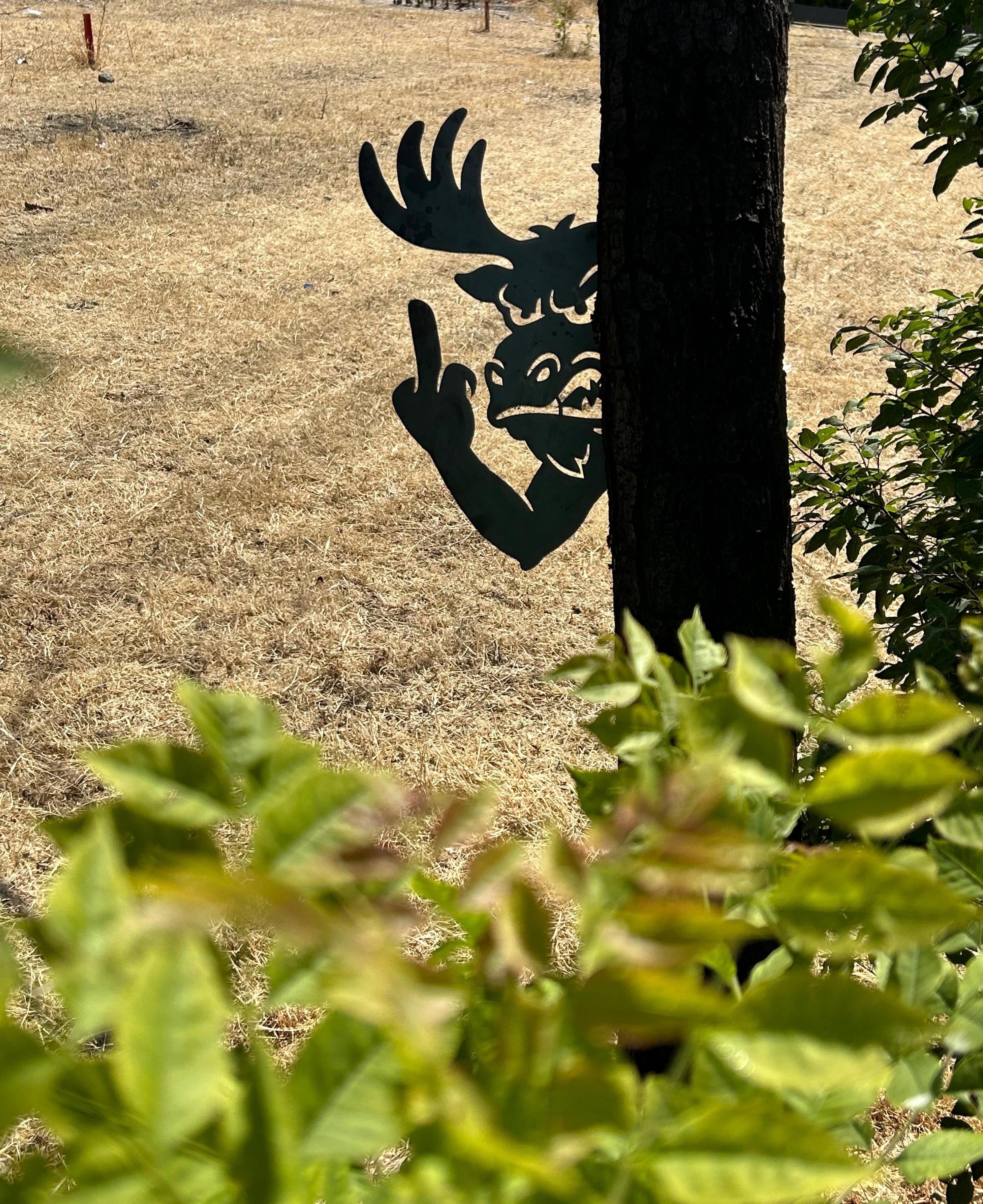 Peek-a-boo Moose Metal Sign, Funny Deer Tree Yard Decor, Premium 14 ...
