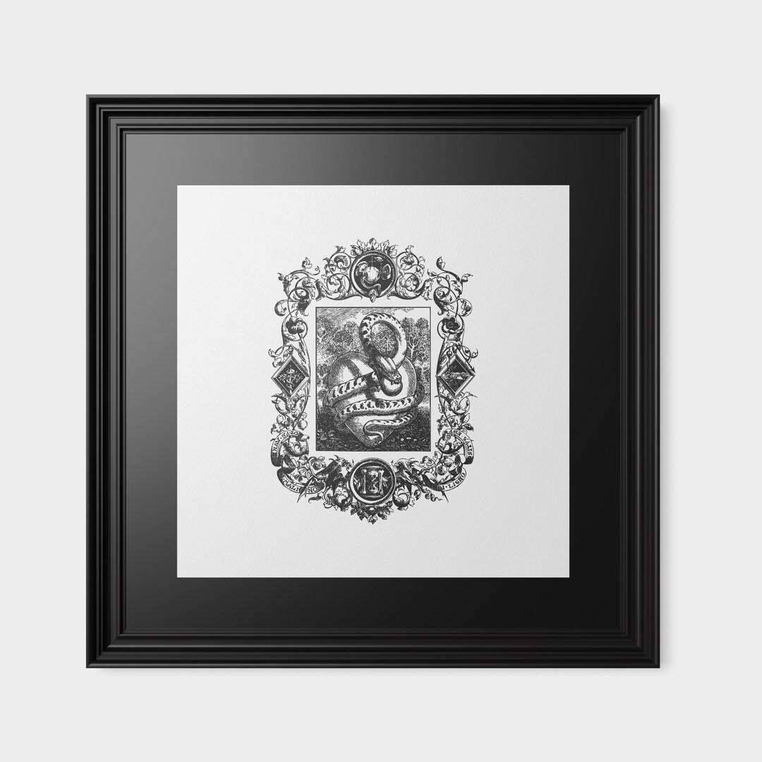Vintage Serpent Engraving Art Print – Baroque Frame Illustration ...