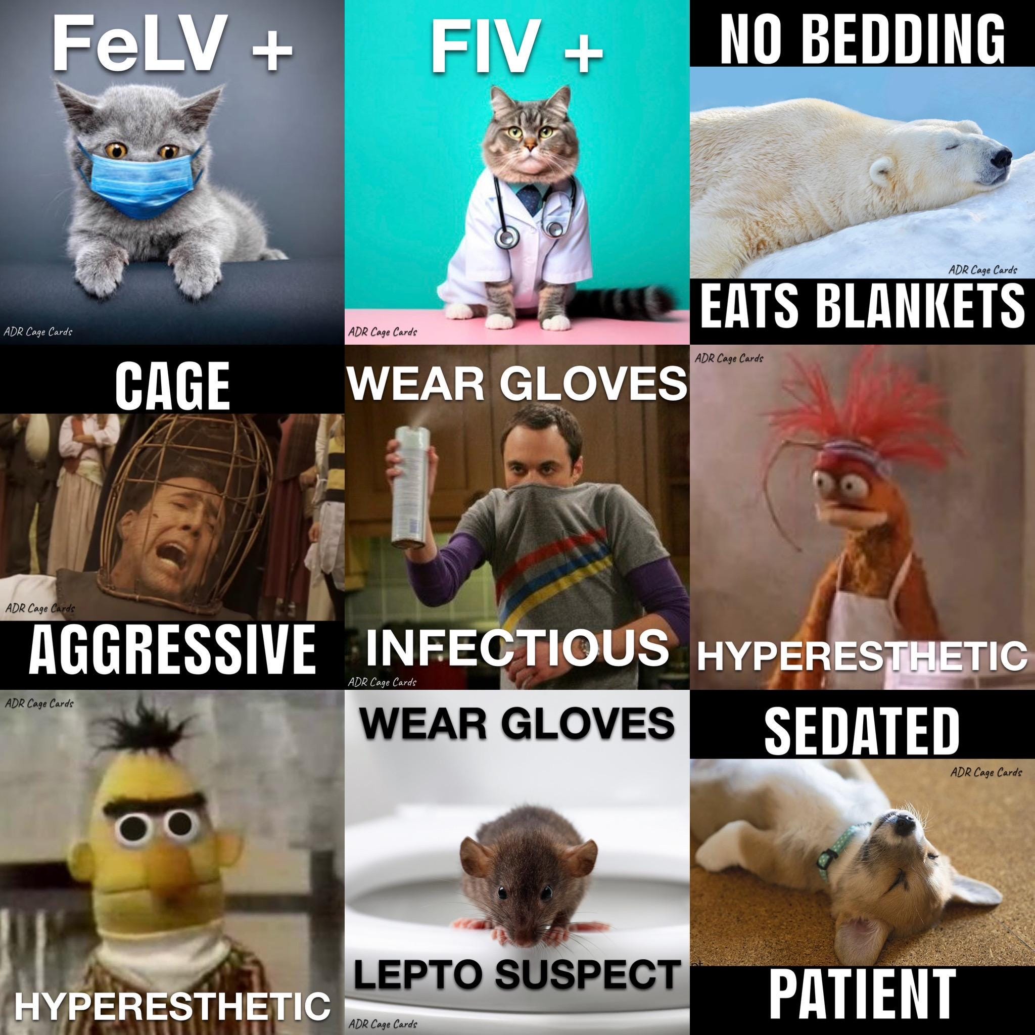 Veterinary Cage Cards - Etsy