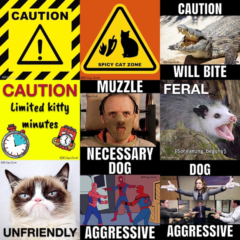 Veterinary Cage Cards - Etsy