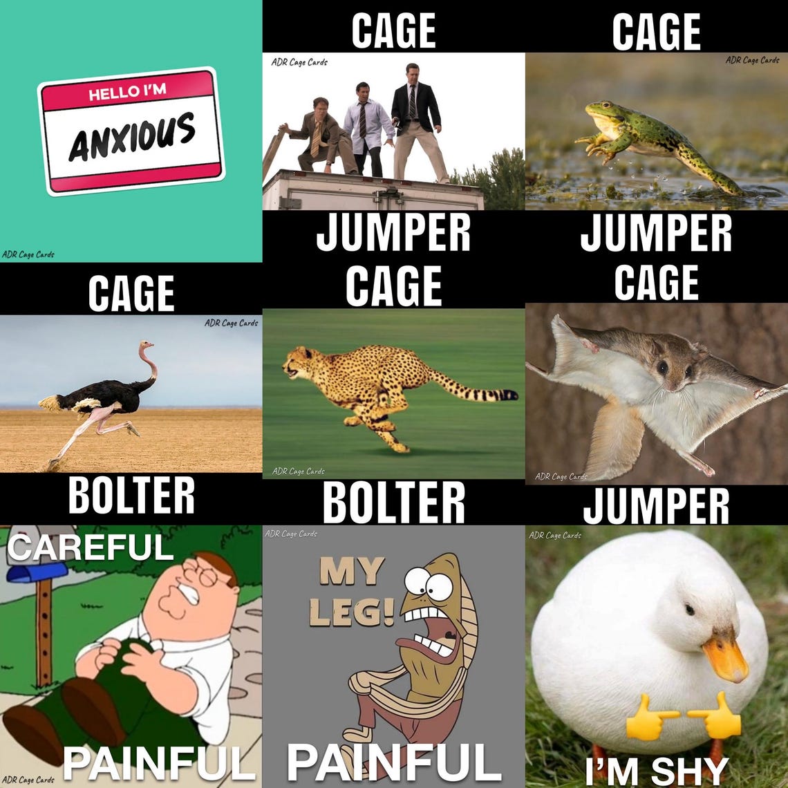 Veterinary Cage Cards - Etsy