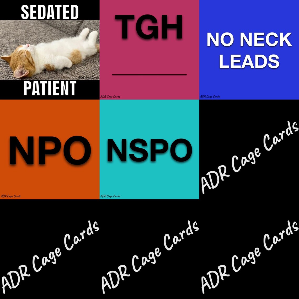 Veterinary Cage Cards - Etsy