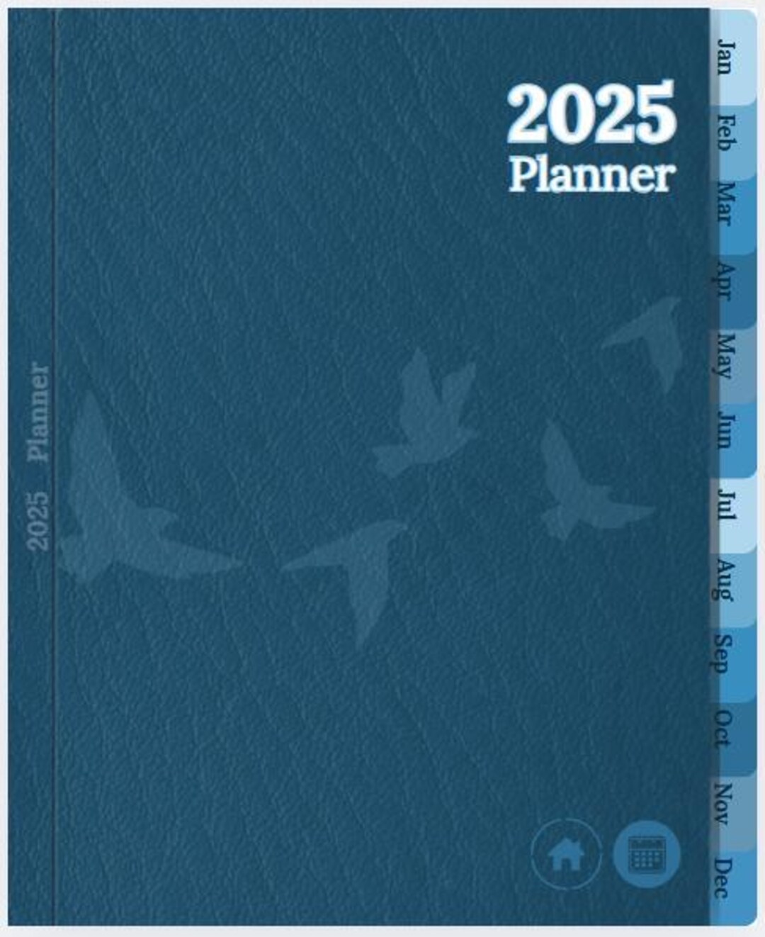 Plan Your 2025 Like a Pro – Editable Canva Template | Instant Download ...