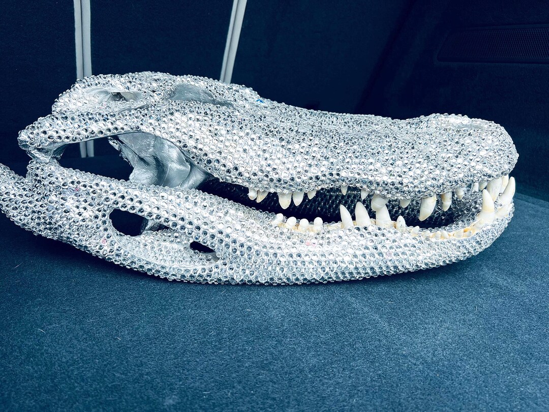 Jeweled Alligator Skull, Damien Hirst, Diamond Skull - Etsy