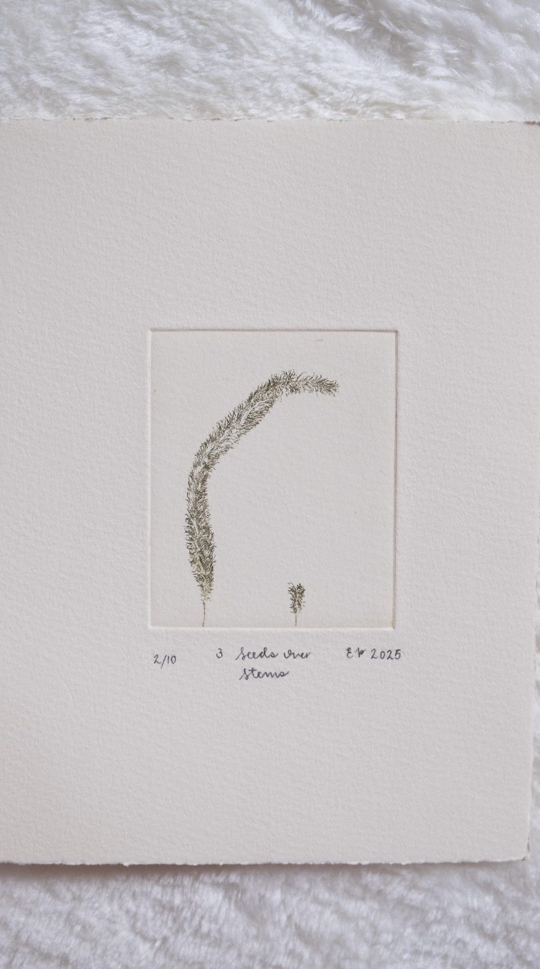 Hay Print #3 - Etsy