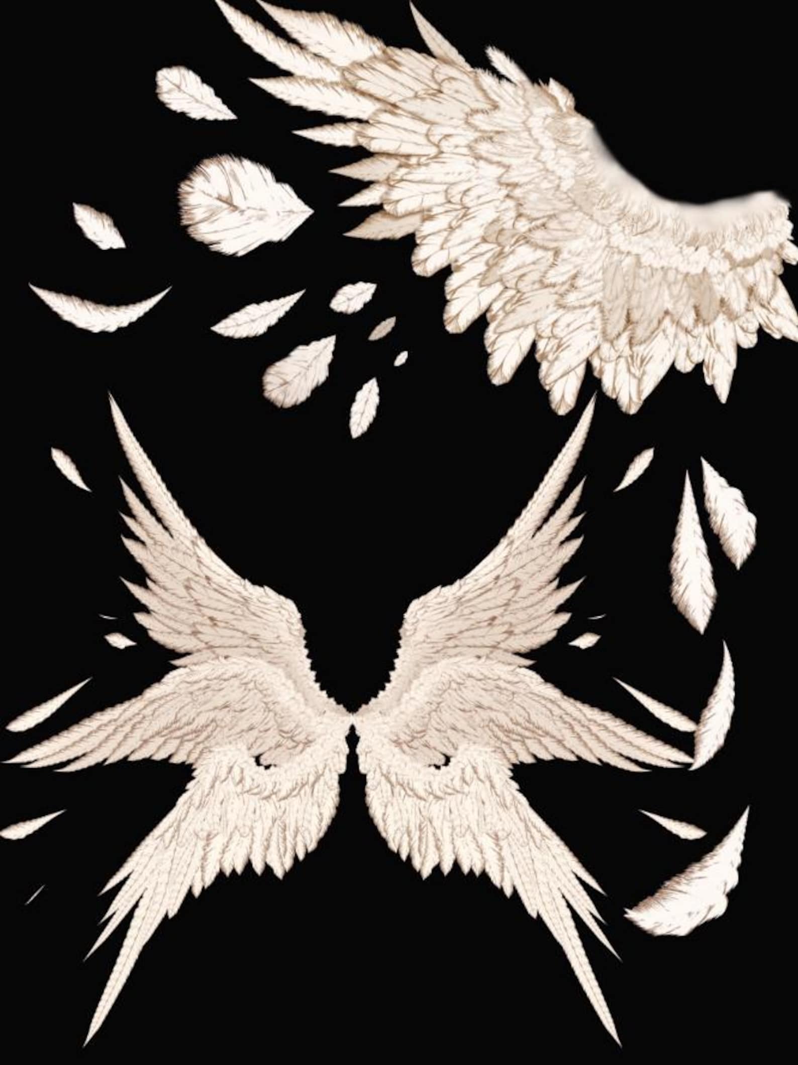 Procreate Special Feather Wings Brush | 12支 (line Drawing + Two-color ...