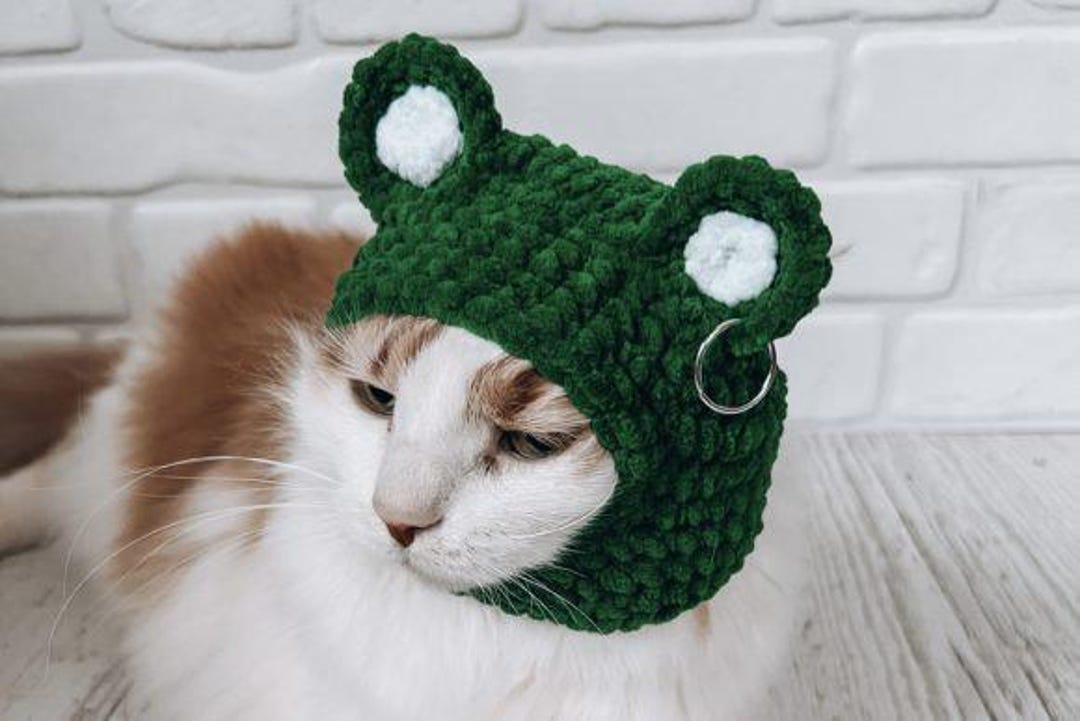Crochet Pet Balaclava Pattern – Frog Hat for Cats & Small Dogs (PDF) - Etsy
