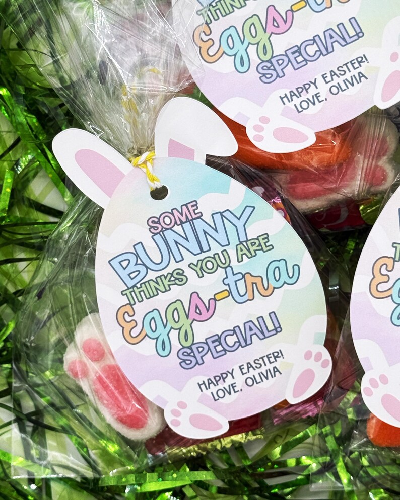 Easter Egg Bunny Gift Tags, Personalized Printed Treat Tags for Kids ...