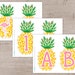Pineapple Flamingo Party Banner, Tropical Luau Birthday Party Banner ...