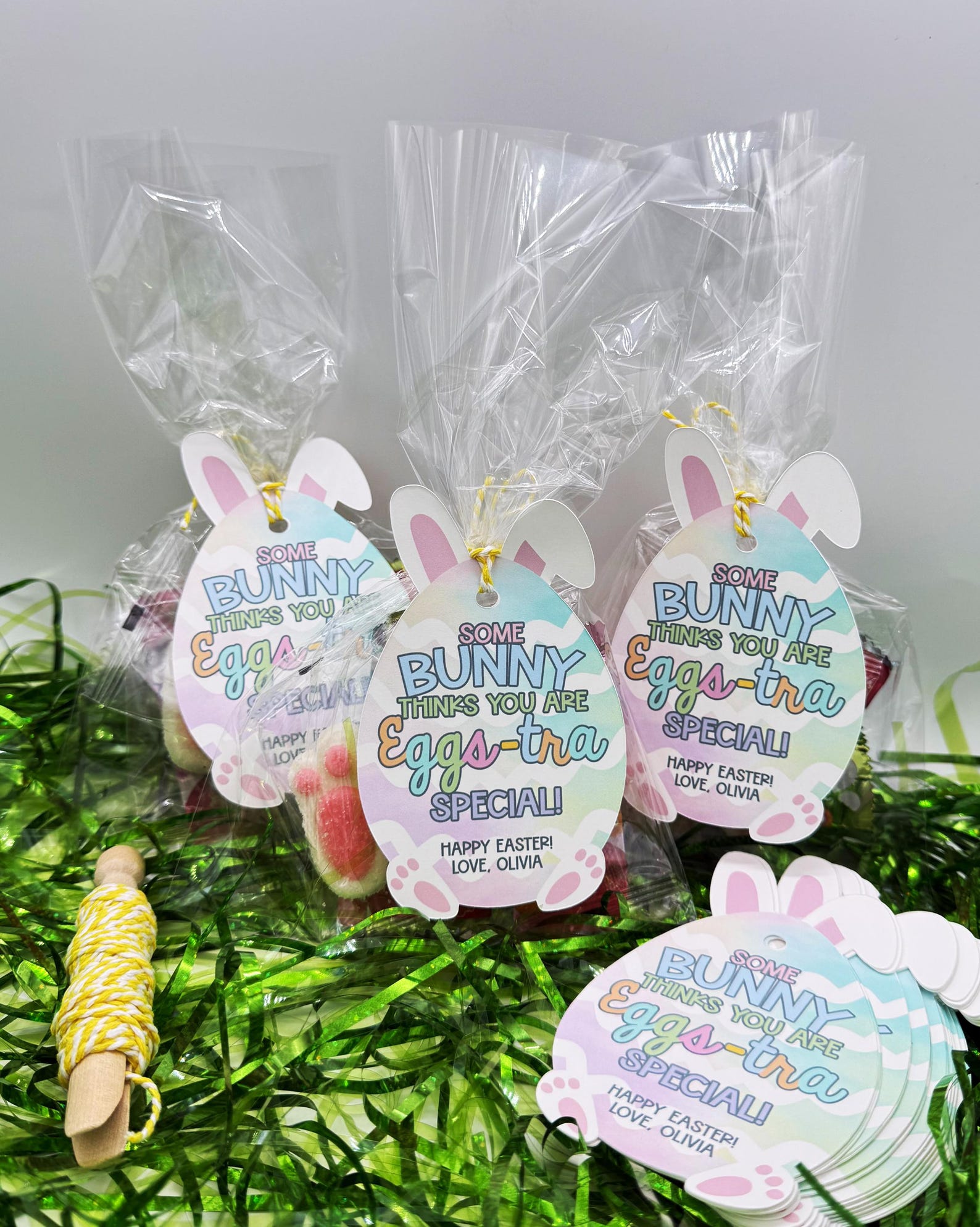 Easter Egg Bunny Gift Tags, Personalized Printed Treat Tags for Kids ...