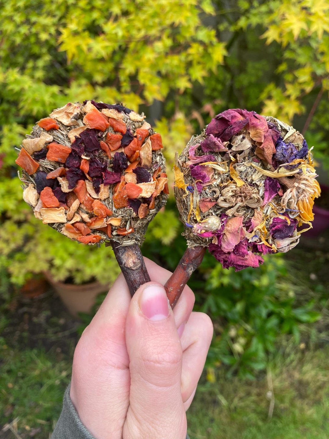 Natural Forage Lollipops | Natural Forage & Treats for Rabbits, Bunnies ...