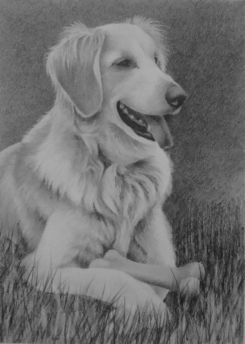 Custom Cat Portrait – Realistic Hand-drawn Pencil Drawing From Photo ...