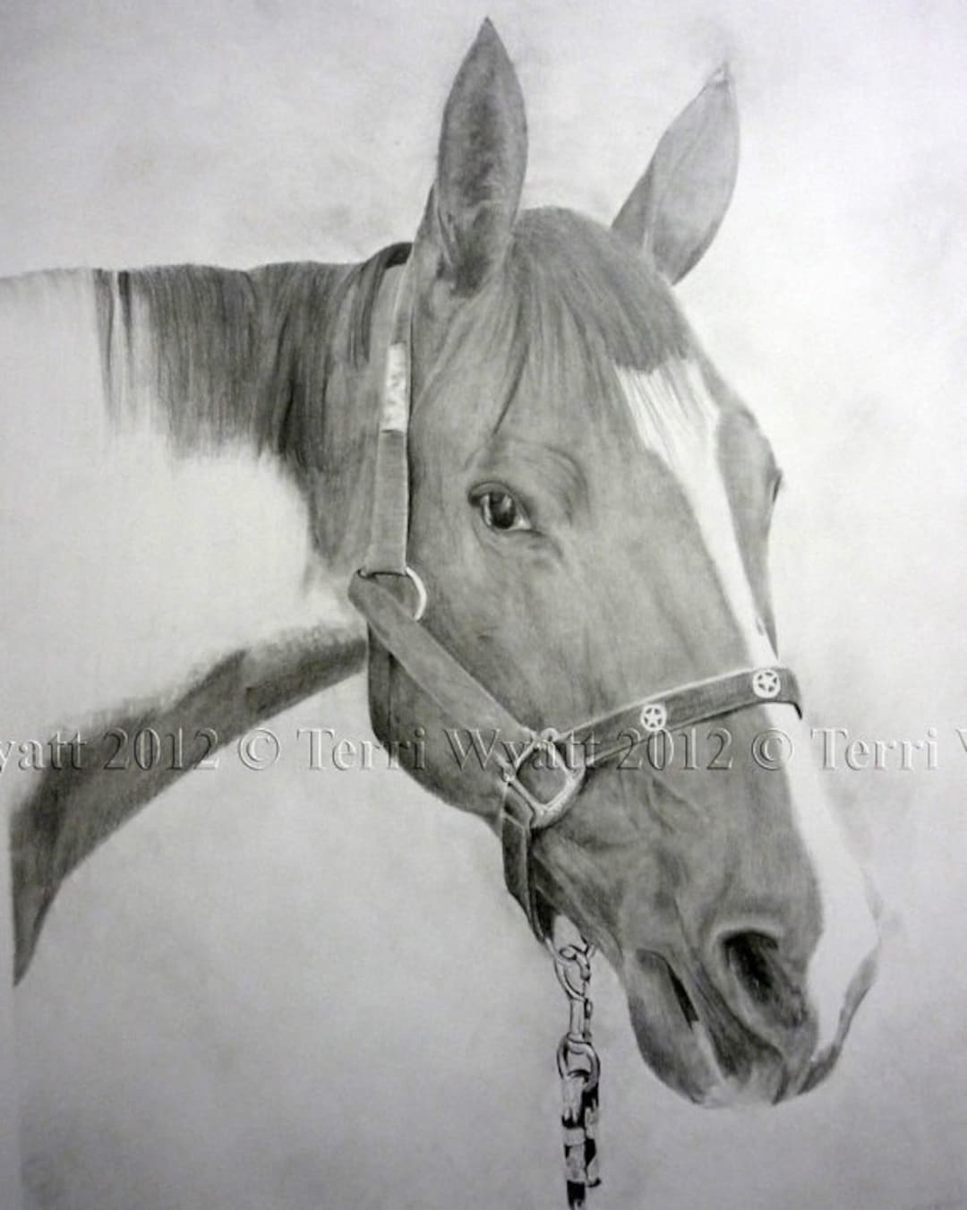 Custom Horse Drawing From Picture - Pencil Sketch Art Equine Pet ...