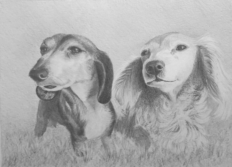 Custom Cat Portrait – Realistic Hand-drawn Pencil Drawing From Photo ...