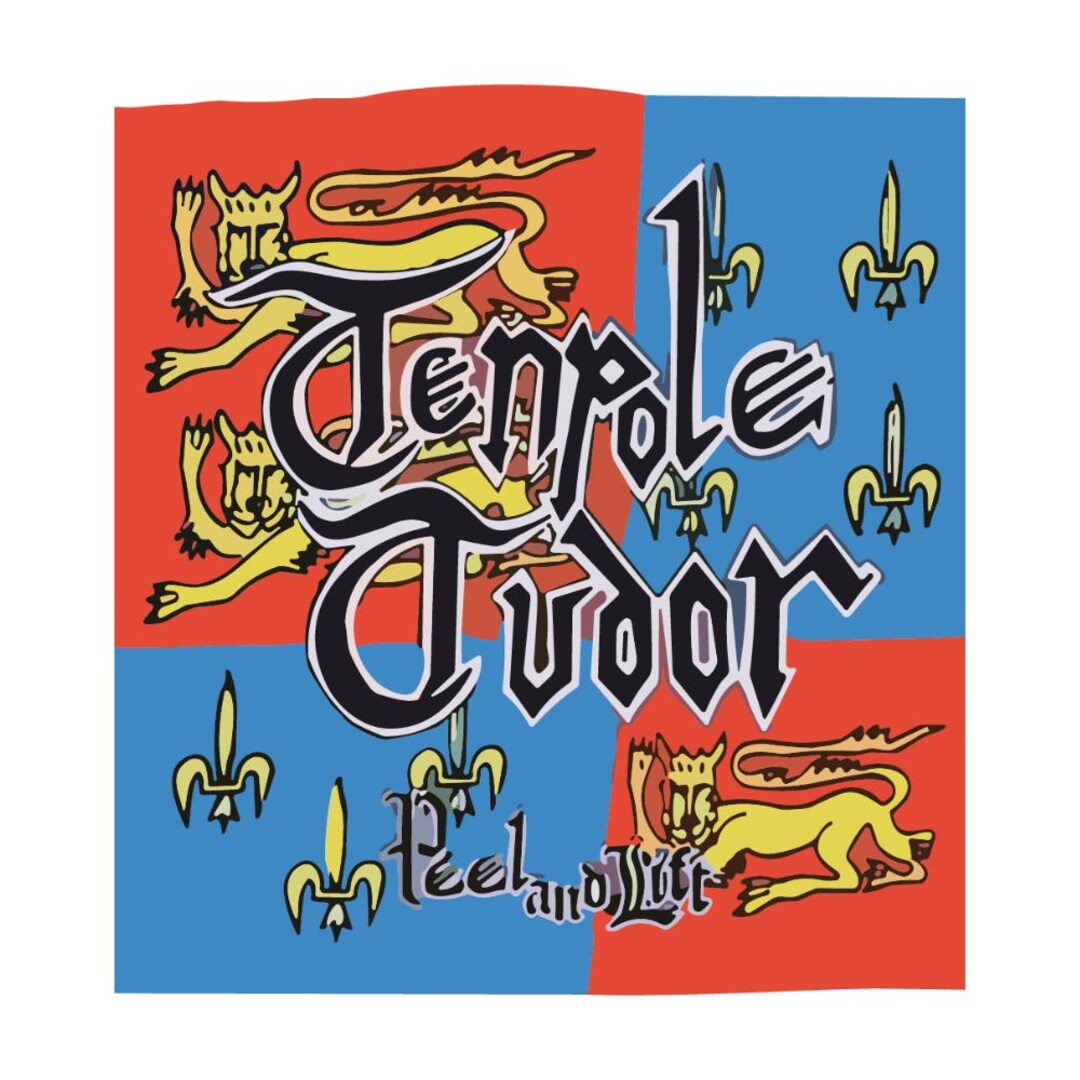 Tenpole Tudor PNG | Retro Punk Rock Band Art Design | Swords of a ...