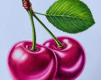 cherry fruit drawing