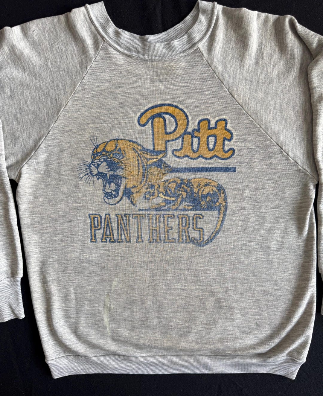 80s PITT PANTHERS University of Pittsburgh Super Soft Worn Thin Faded ...