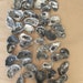 Flat and Cup Grey Oyster Shells Batch / Handpicked / From Florida Beach ...