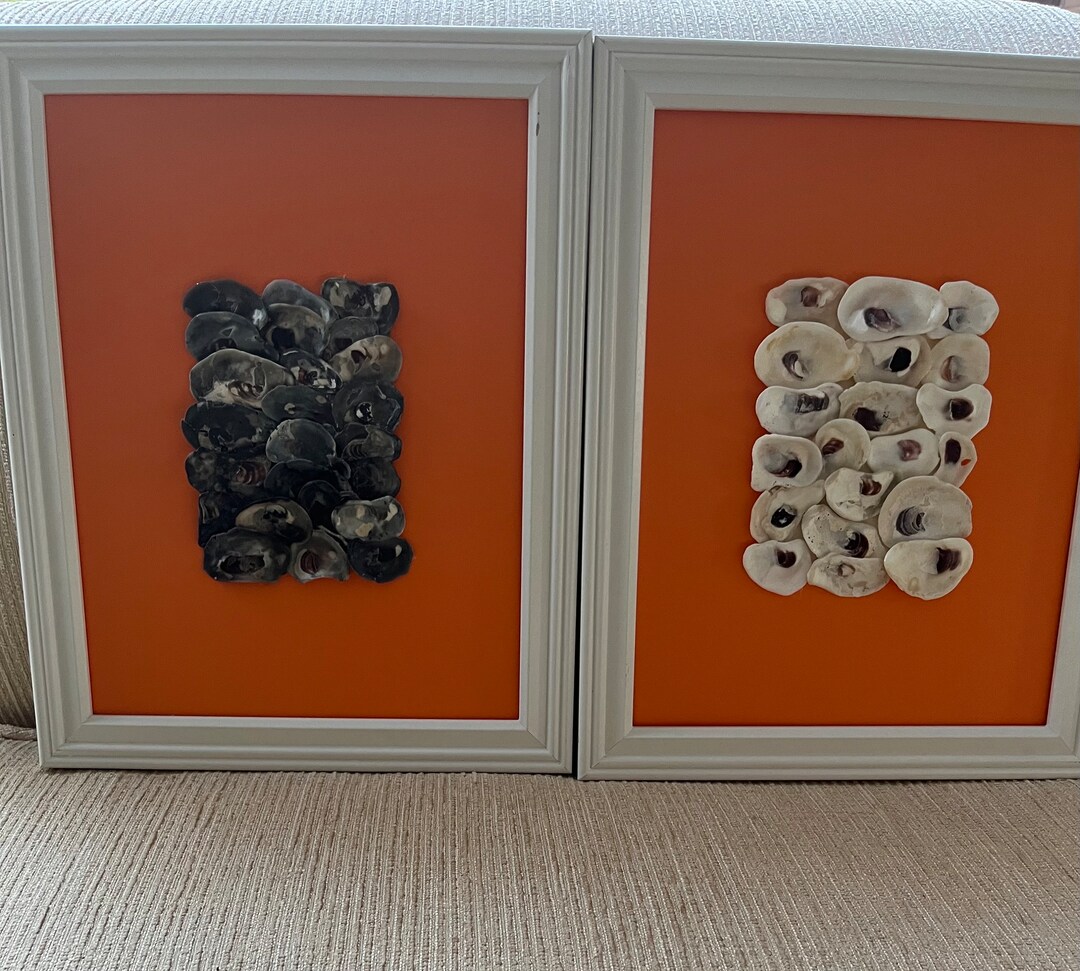 Elegant Handcrafted Seashell Composition/ Home Decor/ Ocean Inspired ...