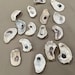 Oyster Shells Batch / Handpicked / From Florida Beach / Tools for ...