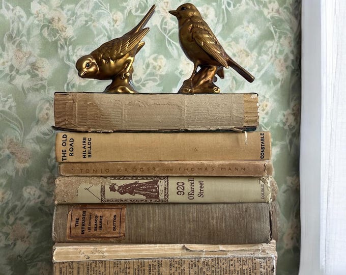 Aged Coverless Instant Library Book Collection by Vintage Decorative ...