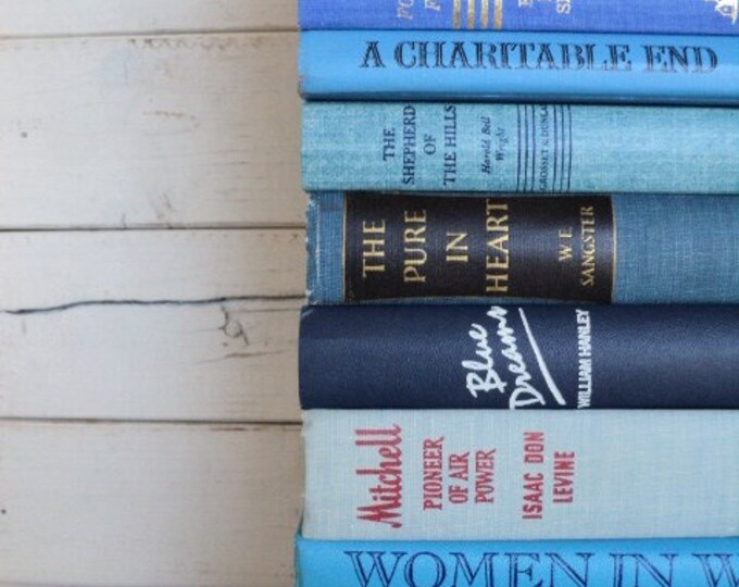 Blue Books Instant Library Collection Decorative Vintage Book - Etsy