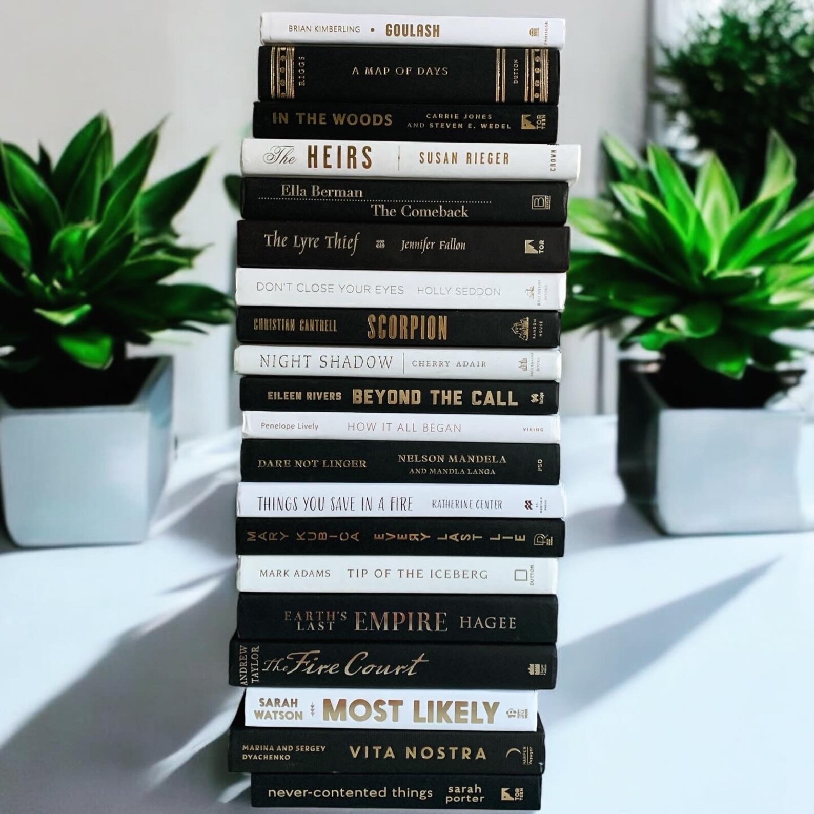 Modern Black and Gold Instant Library Collection Decorative Books by ...