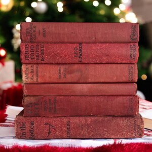 Red Books Instant Library Book Collection by Color Modern Decorative ...
