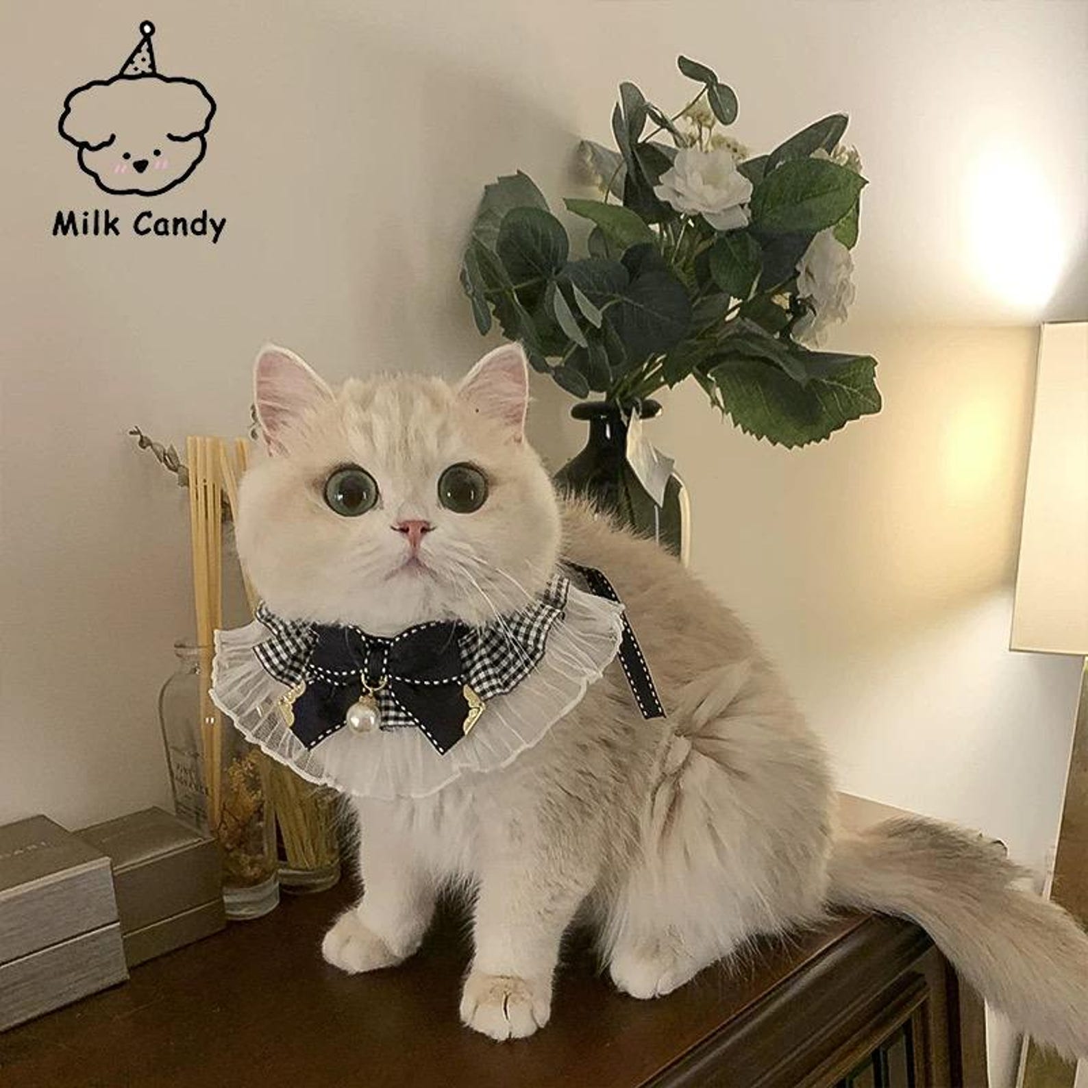 Cute Cat Collars | Lace Pet Bib for Cats & Dogs | Kitten Collars | Lace ...