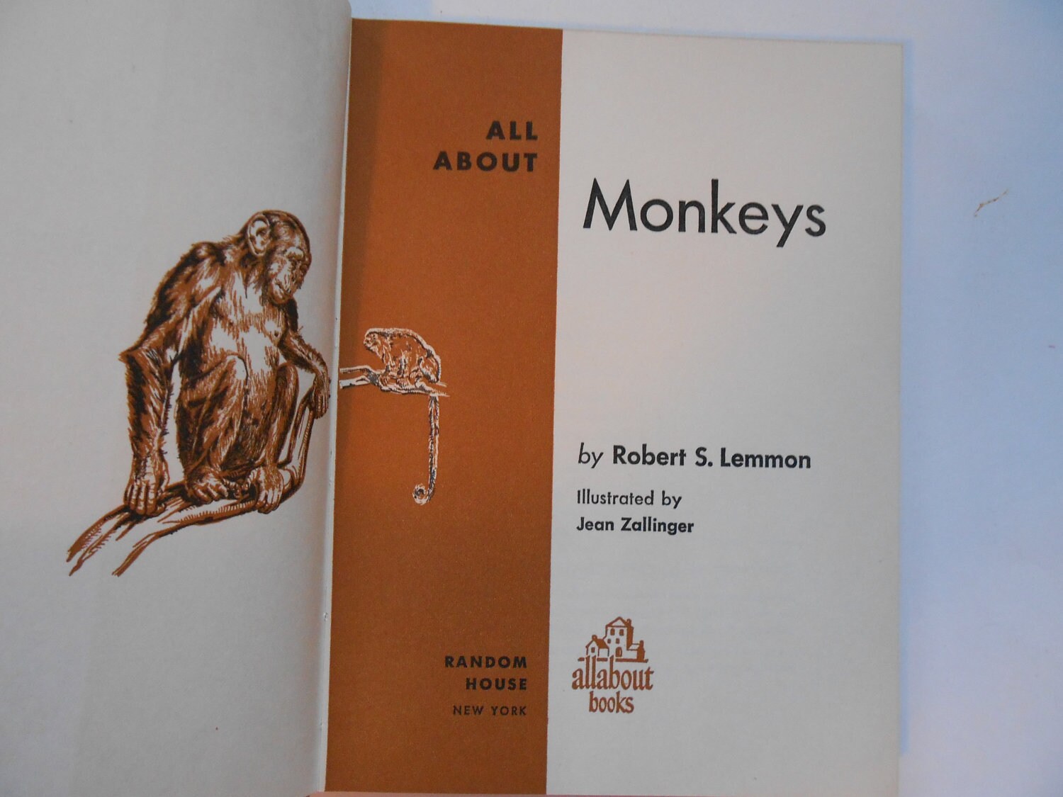 All About Monkeys, a Vintage Children's Book - Etsy