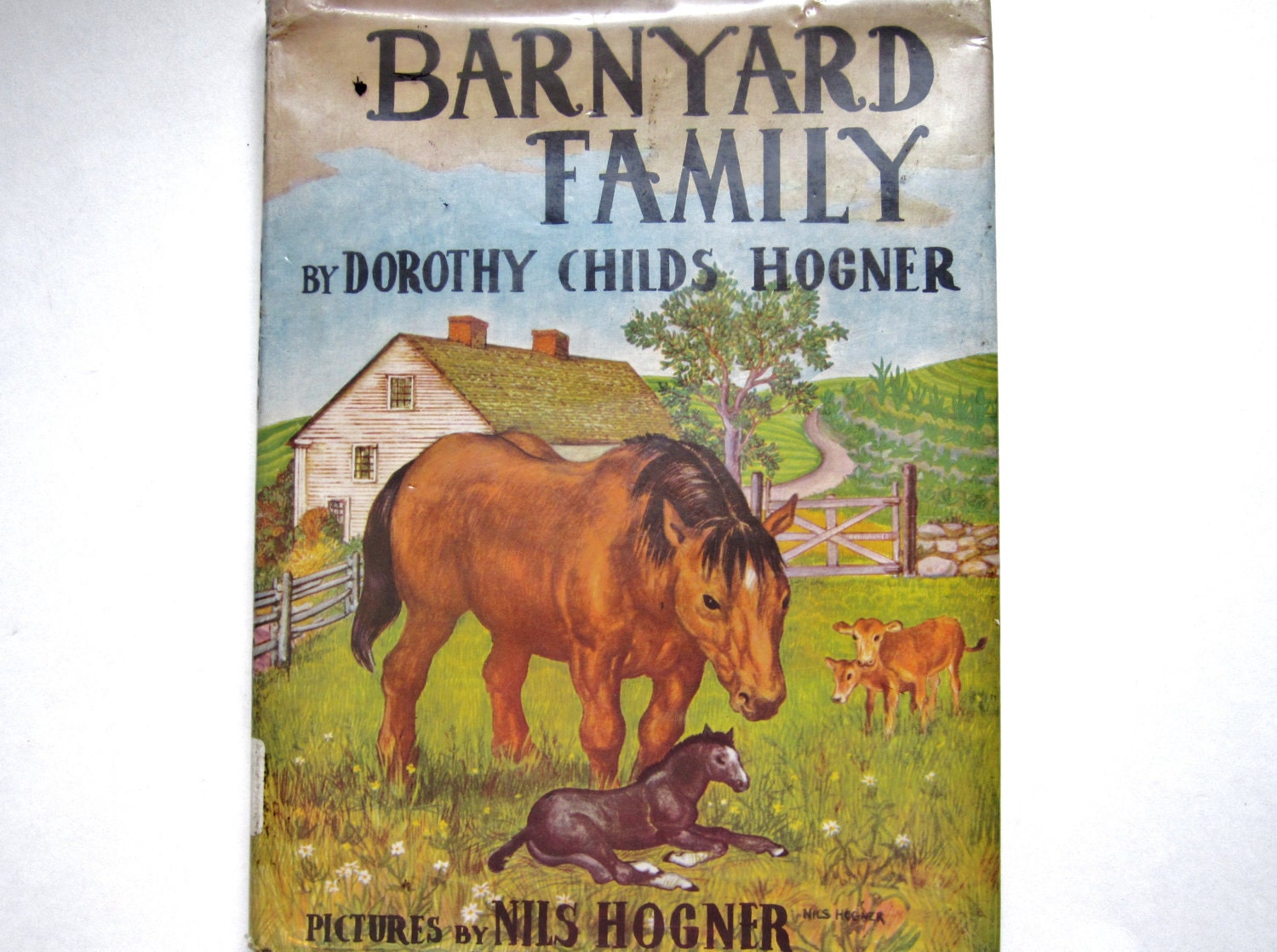 Barnyard Family, a 1948 Vintage Children's Book - Etsy