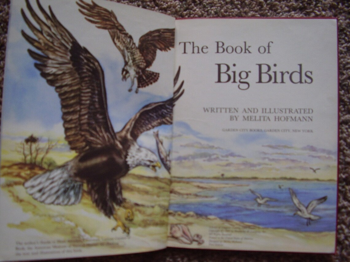 The Book of Big Birds, Vintage Children's Book - Etsy