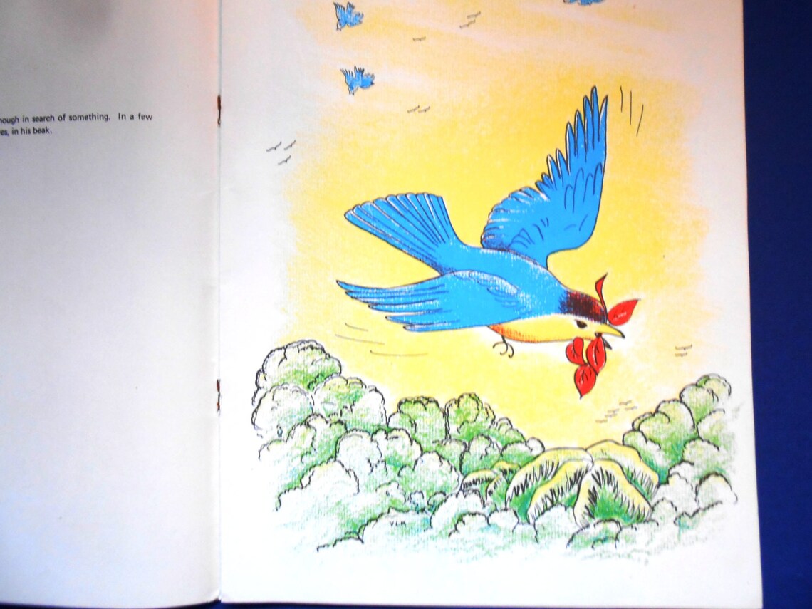 The Wise Little Bird, a Vintage Children's Gospel Booklet, Living ...