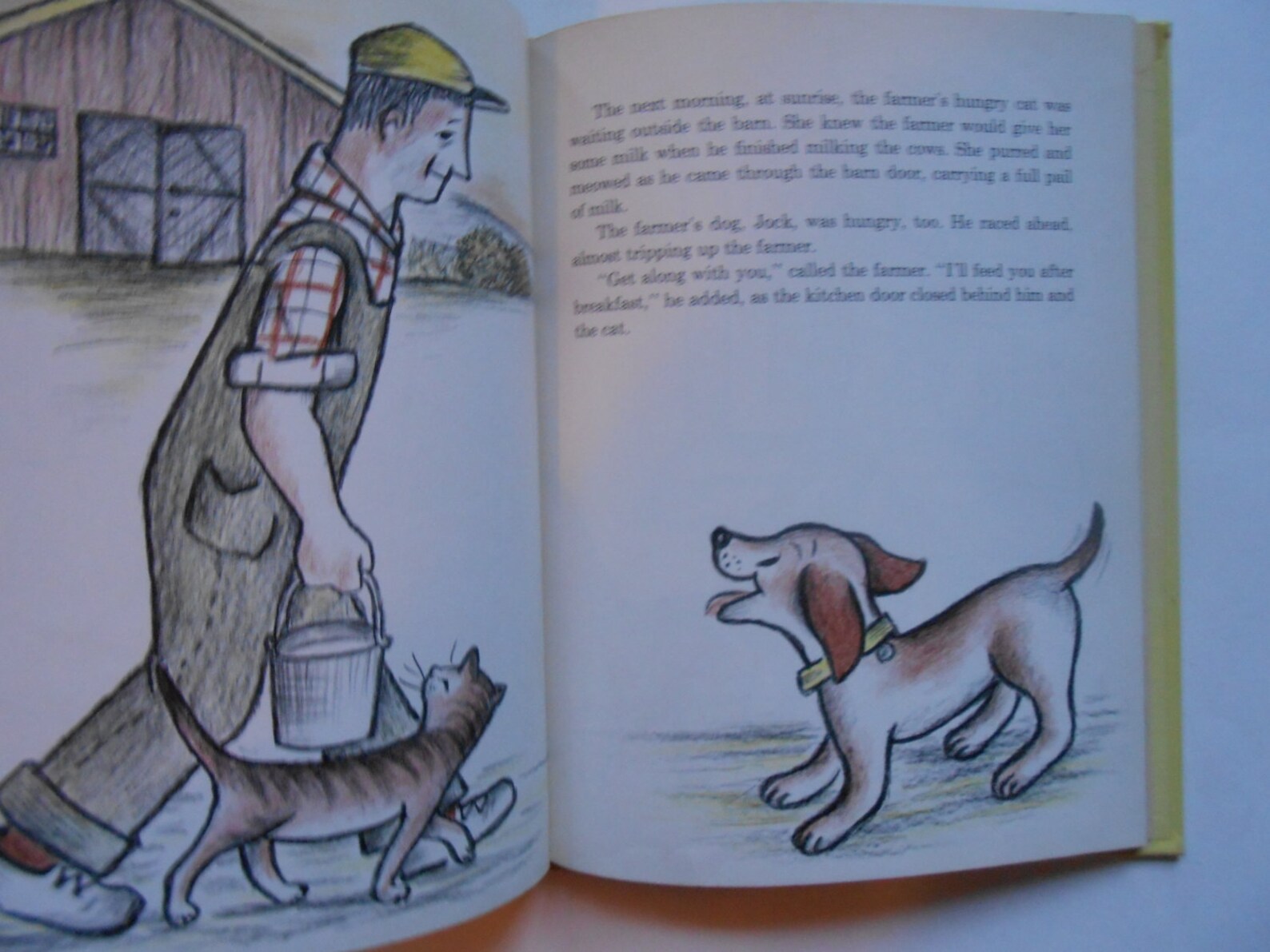 The Hungry Book a Vintage Children's Picture Book by - Etsy