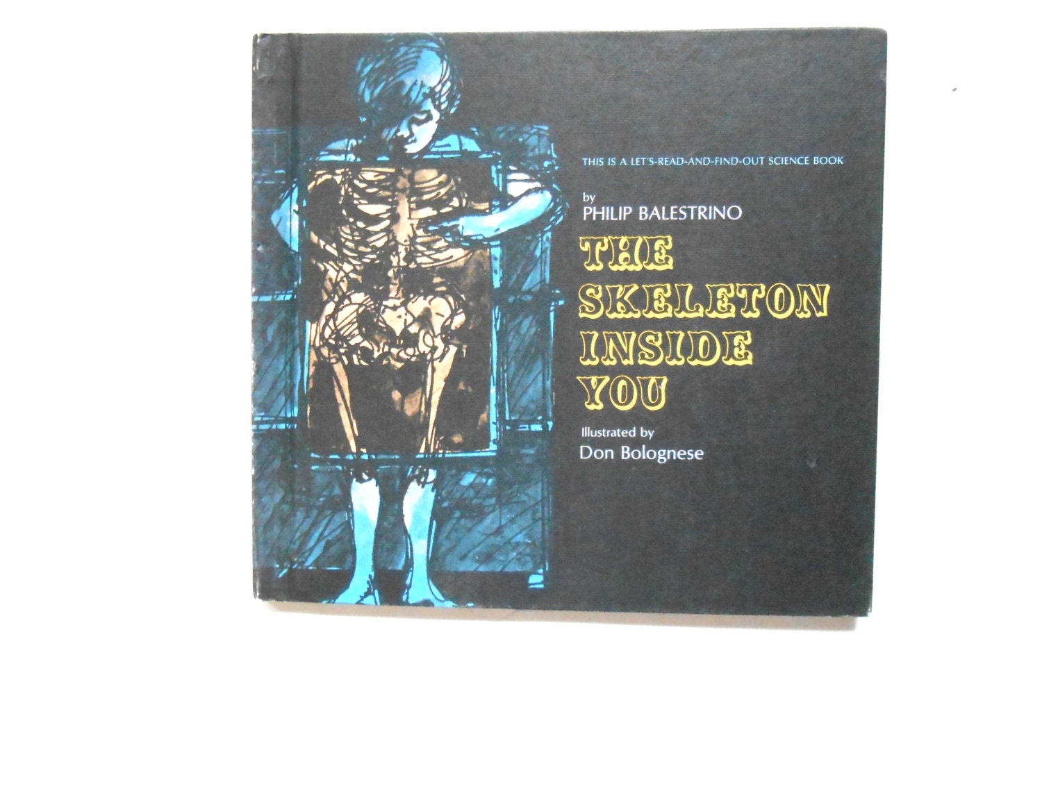 The Skeleton Inside You, a Vintage Children's Book - Etsy