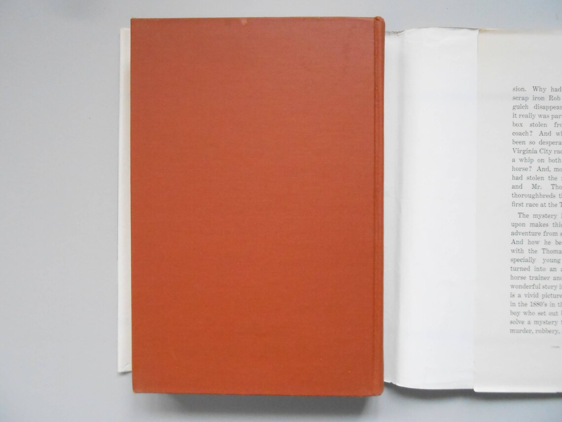 Mystery of Wild Horse Trap a Vintage Children's Book by - Etsy