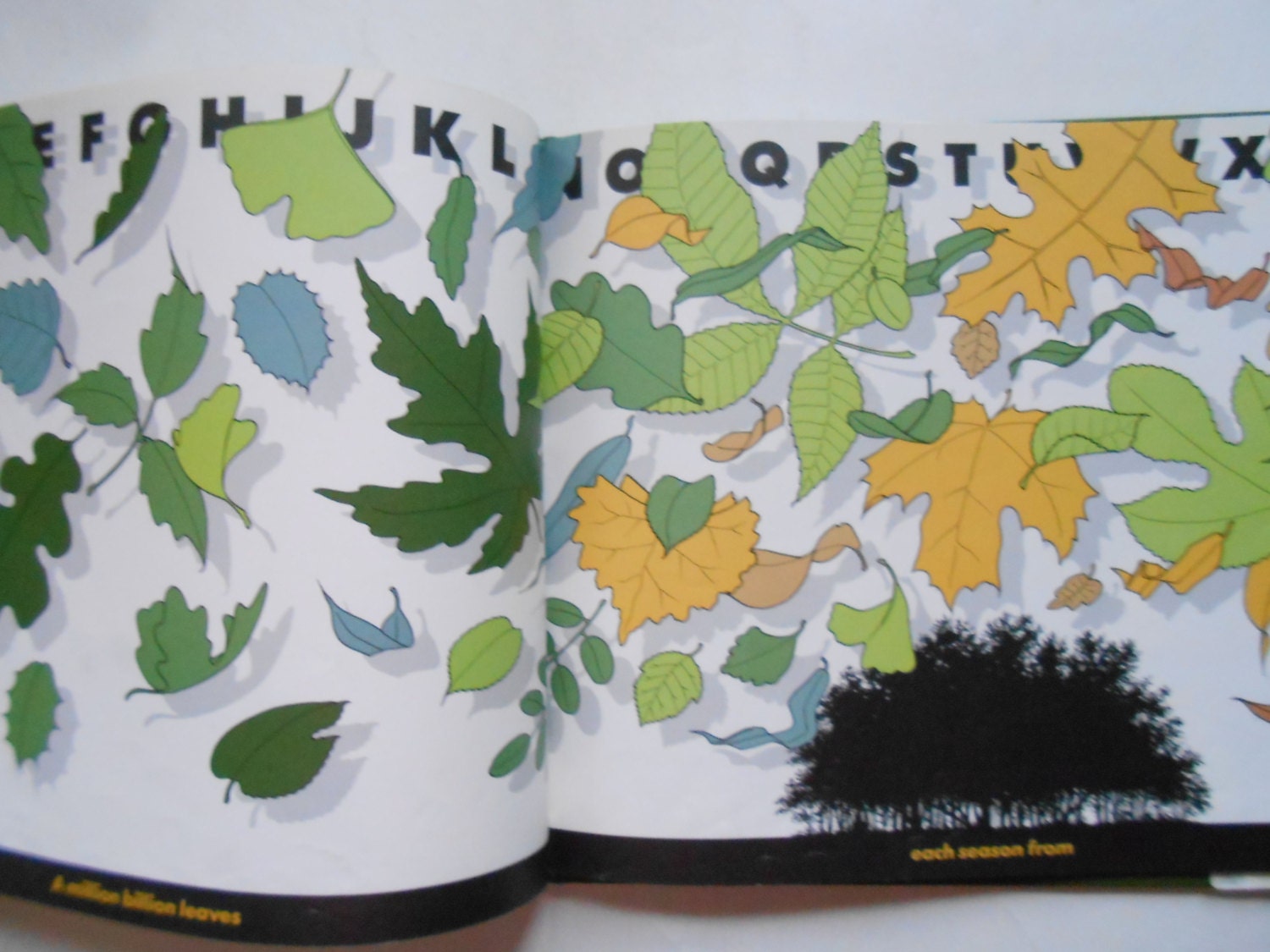 A B Cedar, an Alphabet of Trees, a Vintage Children's ABC Book - Etsy