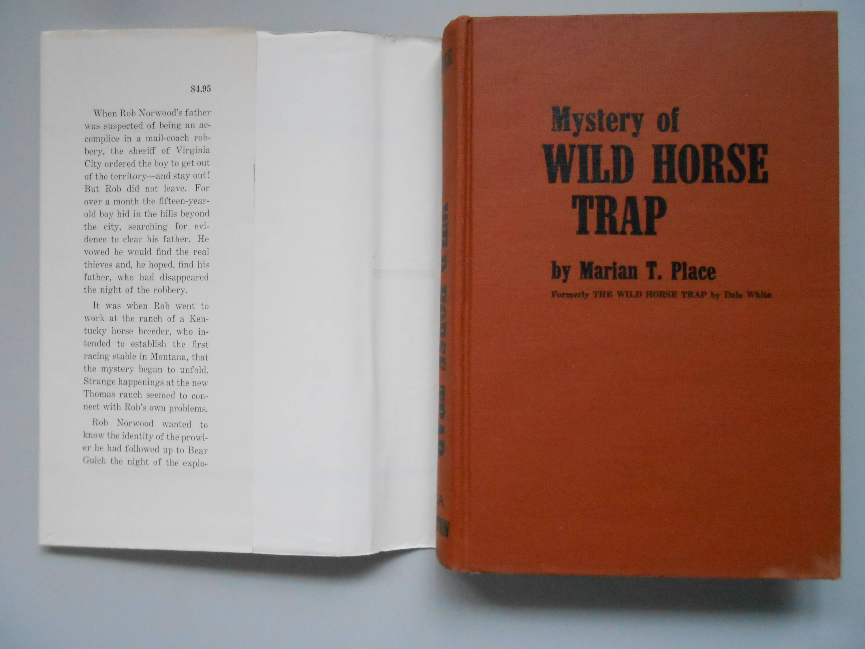 Mystery of Wild Horse Trap a Vintage Children's Book by - Etsy