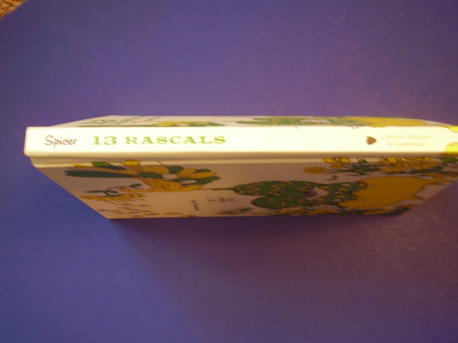 13 Rascals a Vintage Children's Book - Etsy