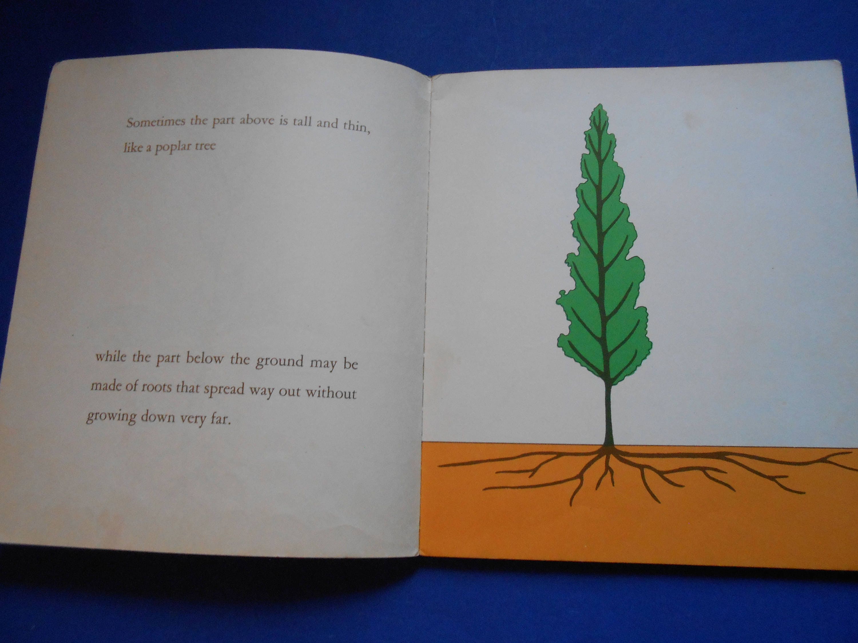 Up Above and Down Below, a First Book About Plants, a Vintage Children ...