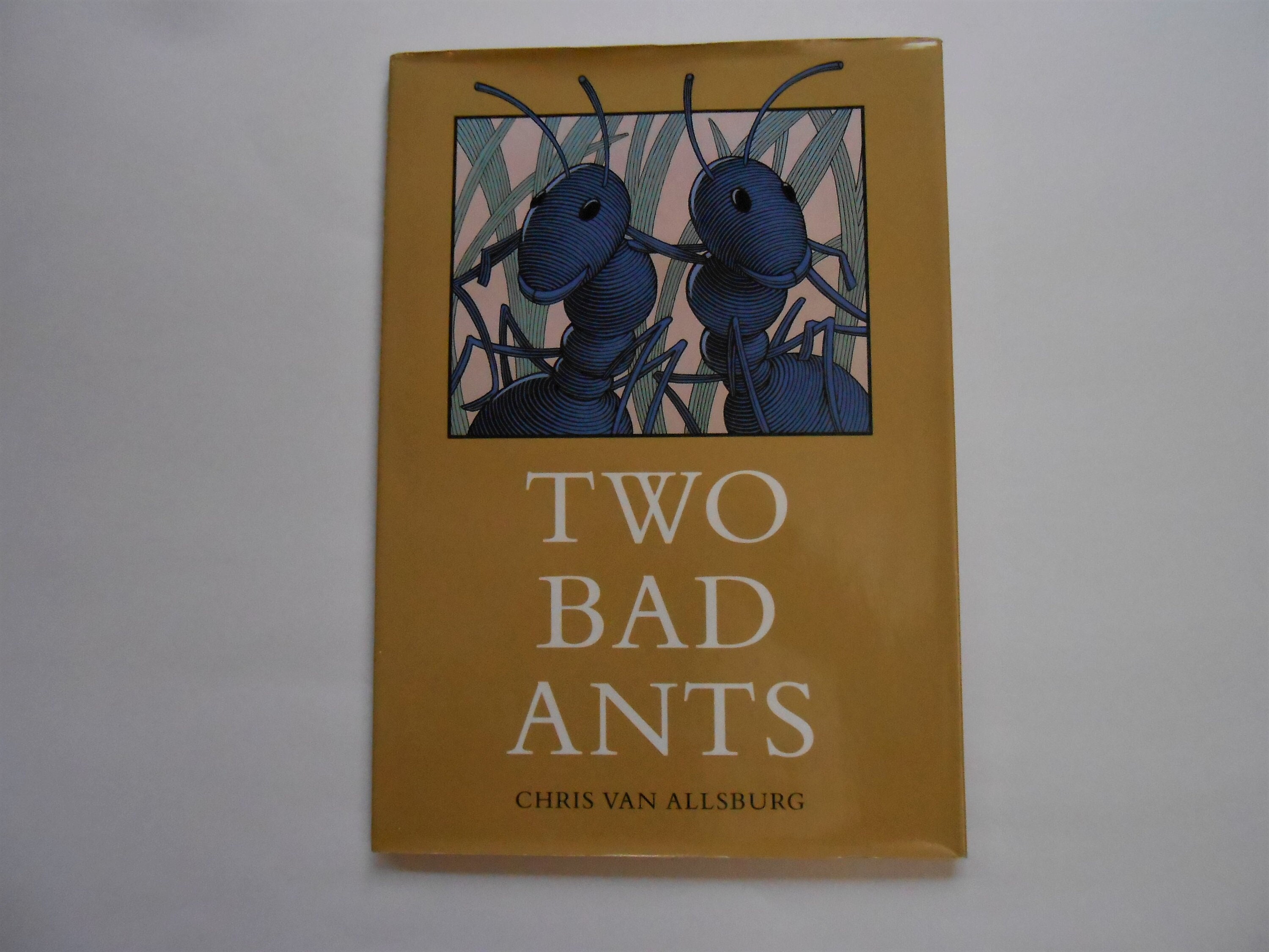 Two Bad Ants, a Vintage Books by Chris Van Allsburg, 1988 - Etsy