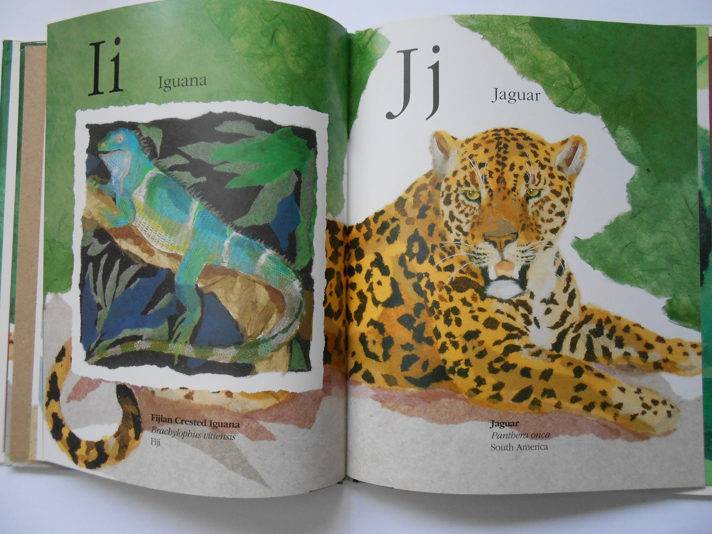 V for Vanishing, an Alphabet of Endangered Animals, a Vintage ABC Book ...