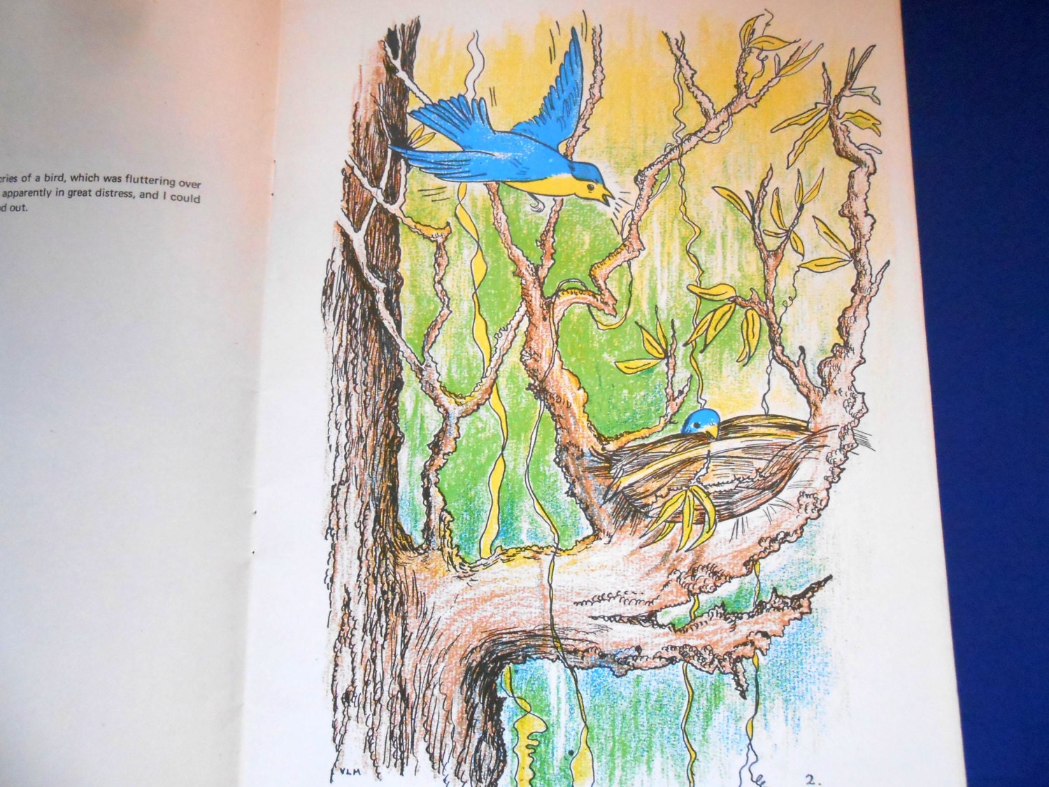 The Wise Little Bird, a Vintage Children's Gospel Booklet, Living ...