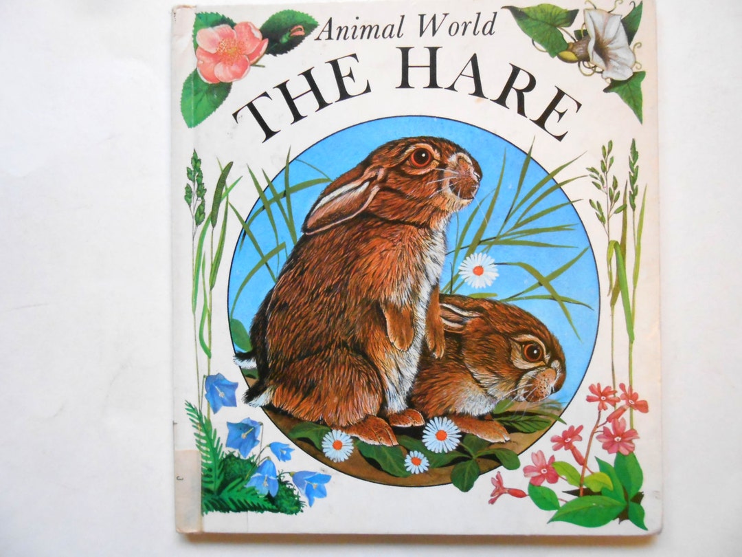 The Hare, a Vintage Children's Book, Animal World - Etsy
