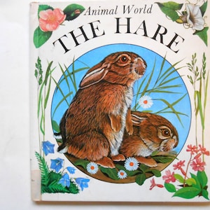 The Hare, a Vintage Children's Book, Animal World - Etsy