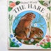 The Hare, a Vintage Children's Book, Animal World - Etsy Canada